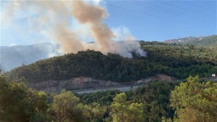 tayyar.org - Photos And Videos - Photos - detail