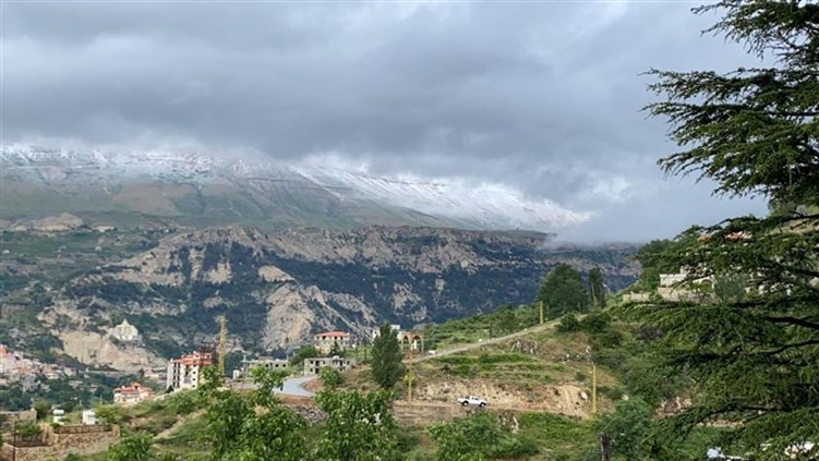 tayyar.org - Photos And Videos - Photos - detail