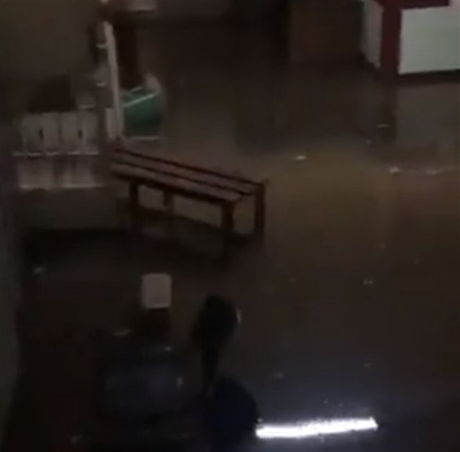 tayyar.org - Photos And Videos - Photos - detail